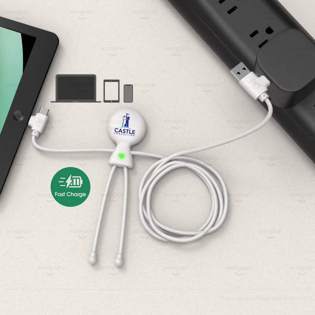 Mr Bio PD 2m Cable With Multiple Adapters Pellacraft Promotional