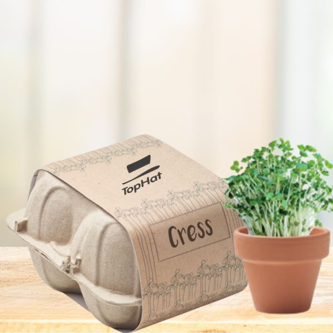 Grow Your Own Cress | Pellacraft | Promotional Merchandise
