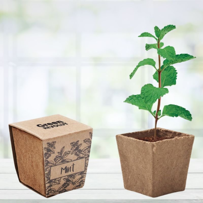 Grow Your Own Mint Kit | Pellacraft | Promotional Merchandise