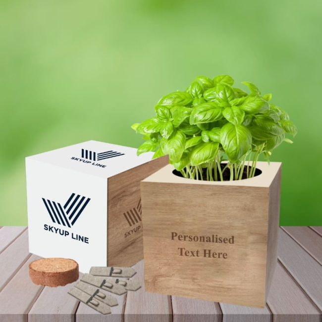Desktop Cube Gardens | Pellacraft | Promotional Merchandise