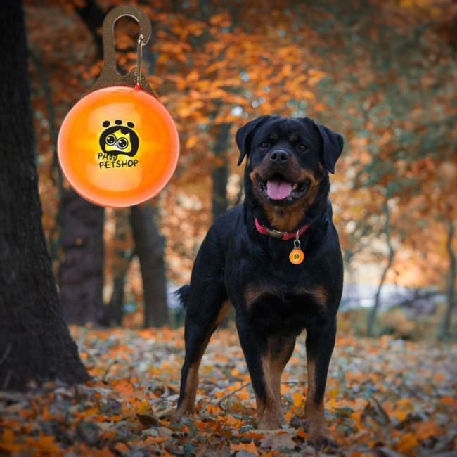 LED Dog Collar Light | Pellacraft | Promotional Merchandise