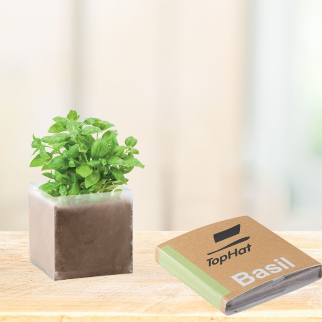Grow Your Own Basil Kit | Pellacraft | Promotional Merchandise