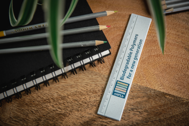 15cm Ruler | Pellacraft | Promotional Merchandise