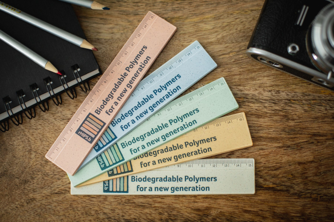 15cm Ruler | Pellacraft | Promotional Merchandise