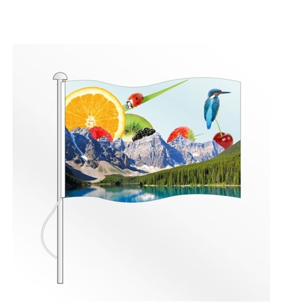 Digitally Printed Flag | Pellacraft | Promotional Merchandise
