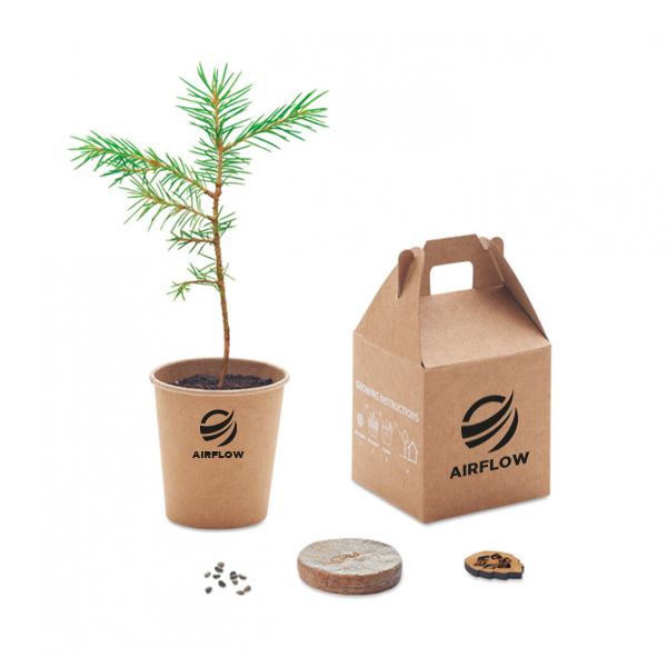 Grow Your Own Pine Tree Set | Pellacraft | Promotional Merchandise