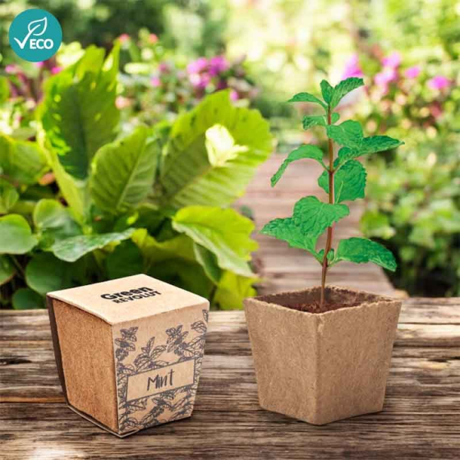 Grow Your Own Mint Kit | Pellacraft | Promotional Merchandise