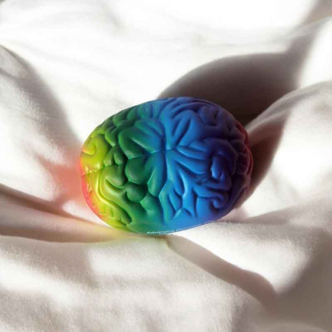 Rainbow Coloured Brain Shaped Stress Ball | Pellacraft | Promotional ...
