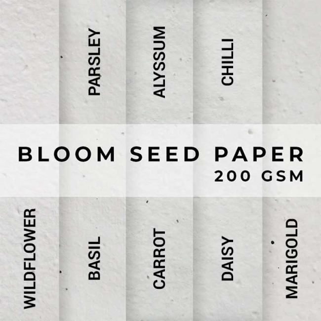 Seeded Circle Paper Tags | Pellacraft | Promotional Merchandise