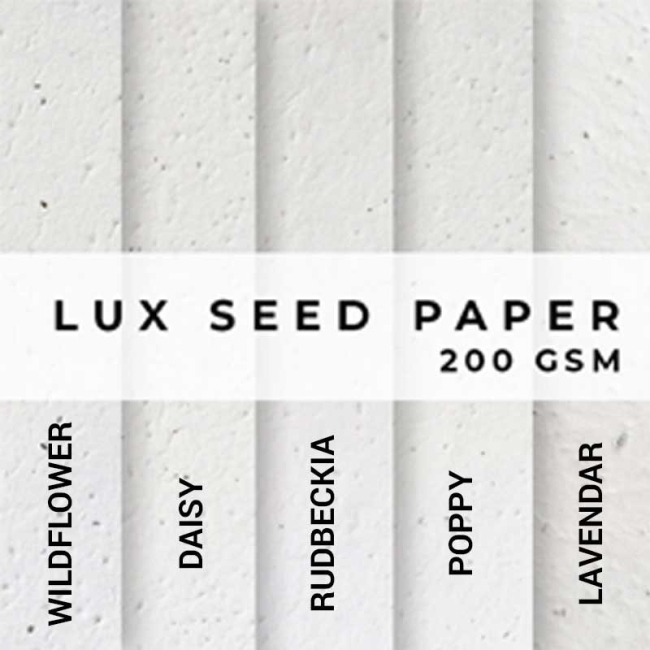 Square Seeded Paper Box | Pellacraft | Promotional Merchandise