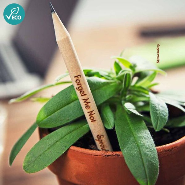 Sprout™ Pencil | Pellacraft | Promotional Merchandise