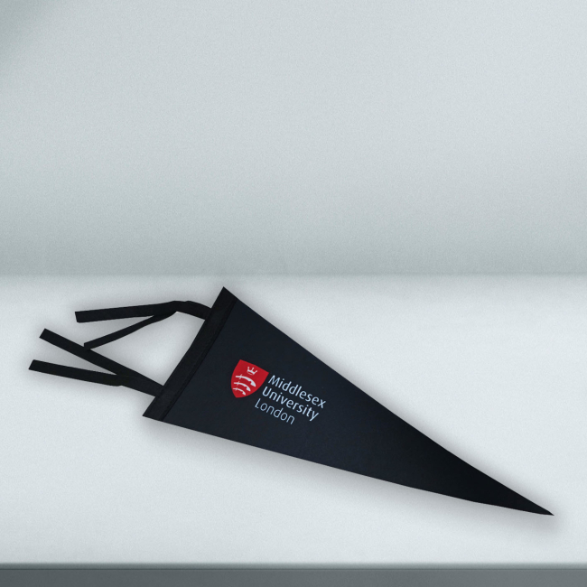 University Pennant | Pellacraft | Promotional Merchandise